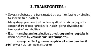 Pharmacodynemics | PPT