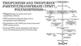 Pharmacogenetic | PPTX