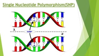 Pharmacogenetics | PPTX