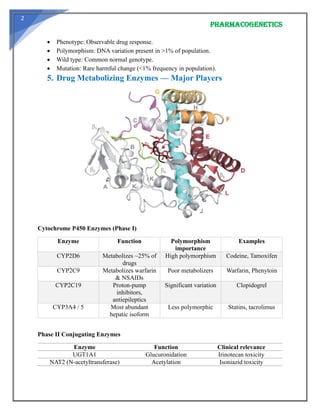 Pharmacogenetics, genetic polymorphism, CYP 450 Enzymes | PDF
