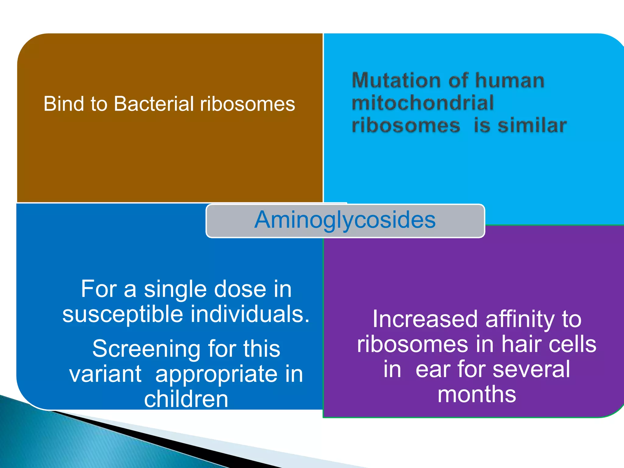 pharmacogenetics dds.ppt