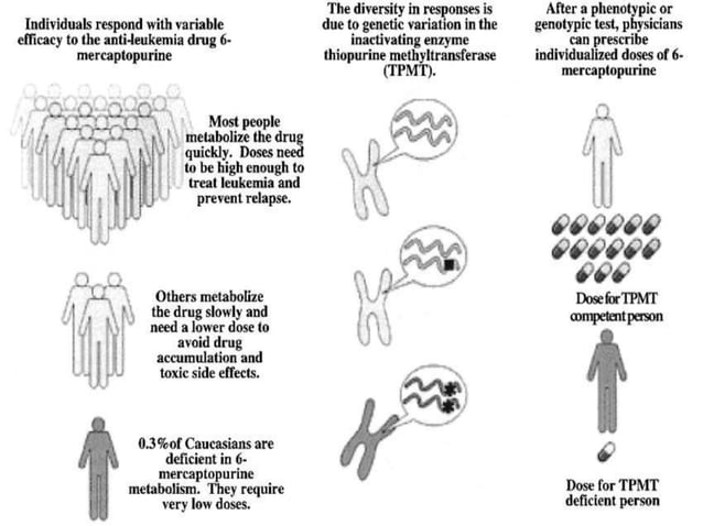 pharmacogenetics dds.ppt