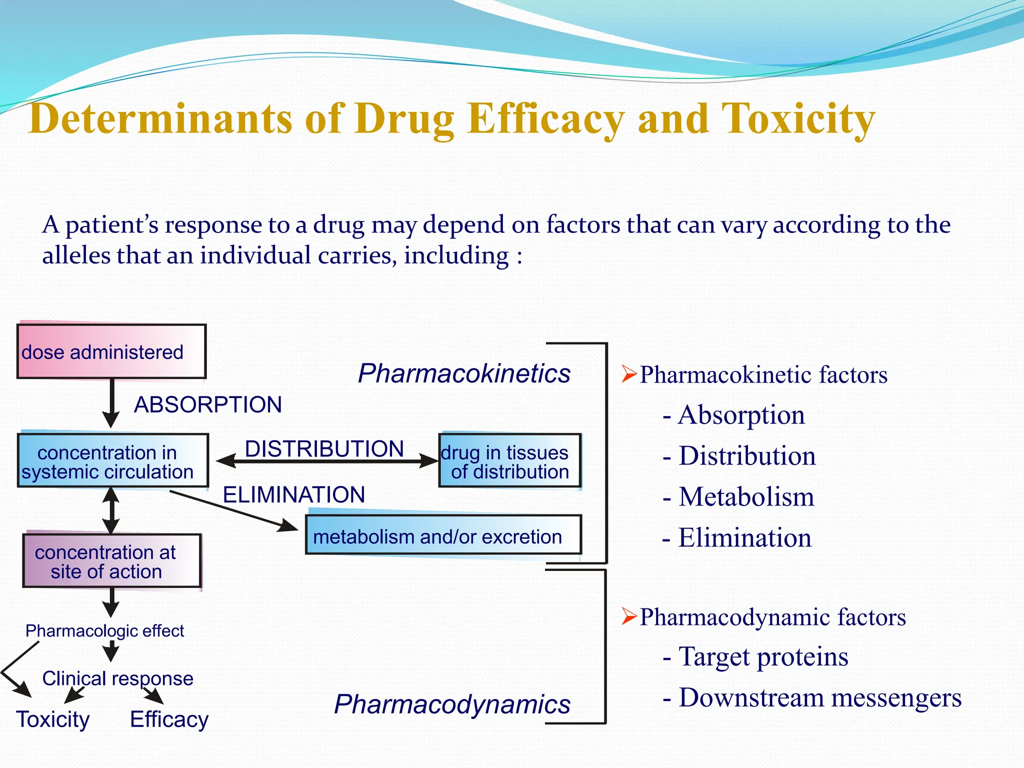 Pharmacogenetics d and effect on determination of drug dosing in ...