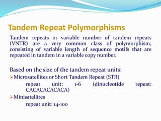 Pharmacogenetics d and effect on determination of drug dosing in ...