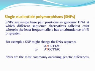 Pharmacogenetics d and effect on determination of drug dosing in ...