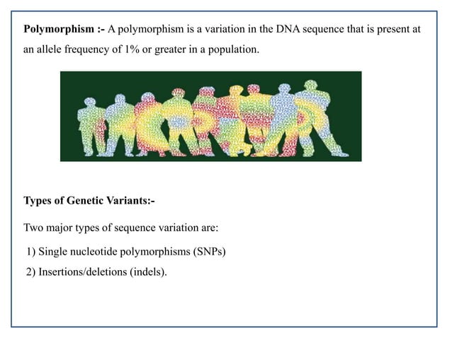 Pharmacogenetics | PPT