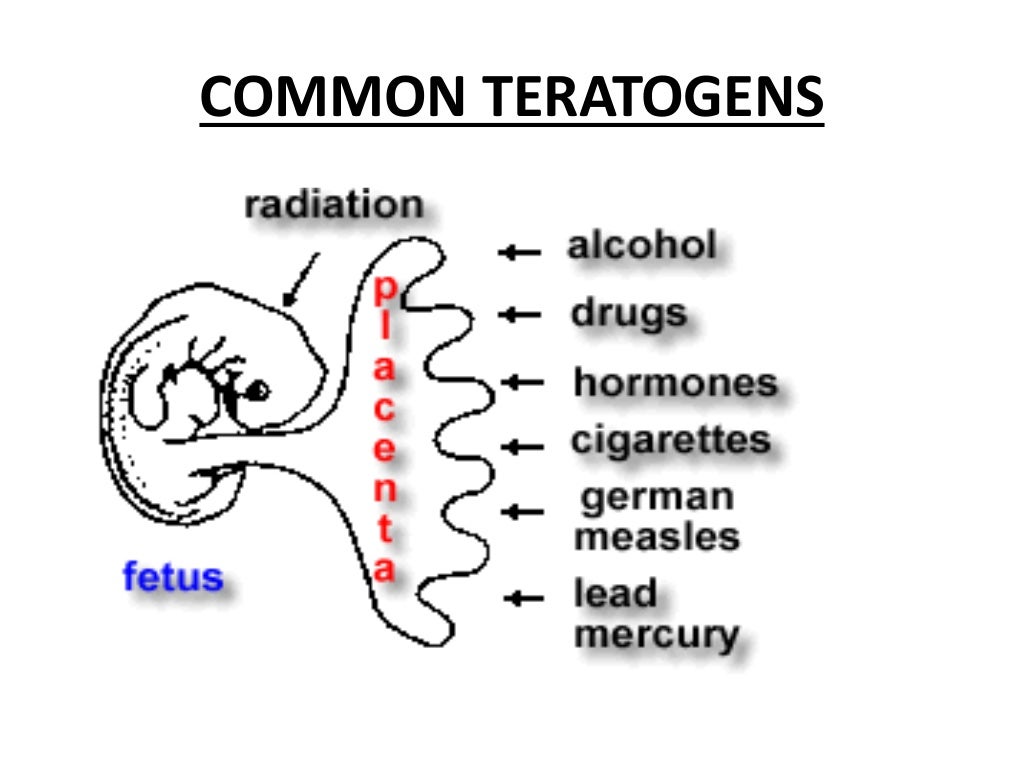 Pharmacogenetics & Teratogenicity