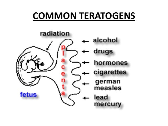 Pharmacogenetics & Teratogenicity