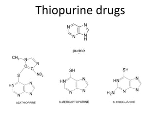Pharmacogenomic of TPMT which affected to plasma level of thiopurine ...
