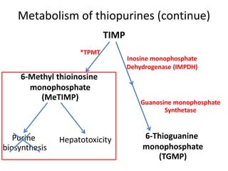 Pharmacogenomic of TPMT which affected to plasma level of thiopurine ...