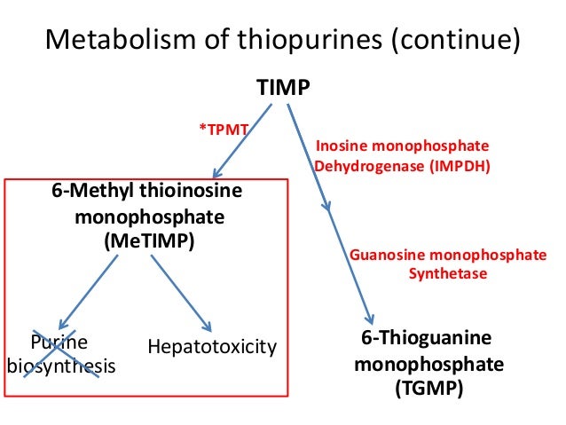 Pharmacogenomic of TPMT which affected to plasma level of thiopurine