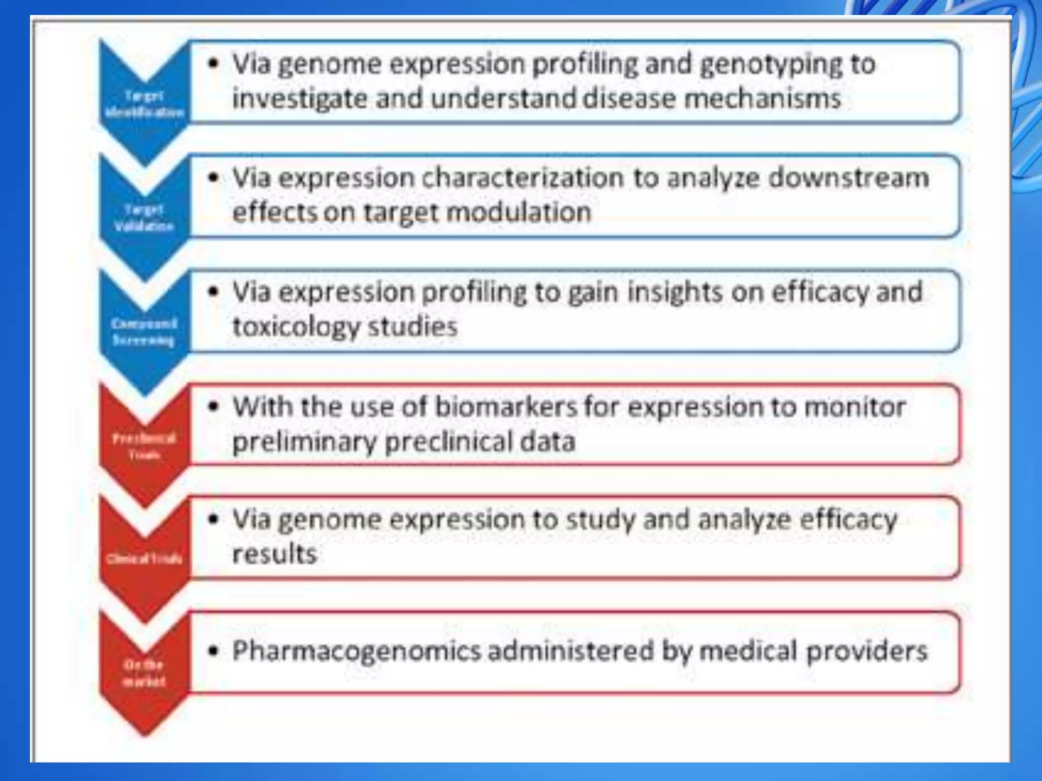 Pharmacogenomics | PPTX | Genetics | Science