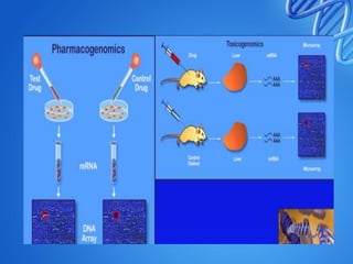 Pharmacogenomics | PPT