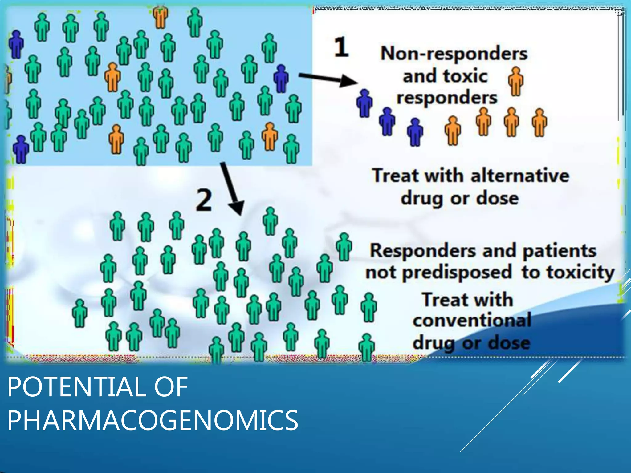 pharmacogenomics-171011132627.pptx | Genetics | Science