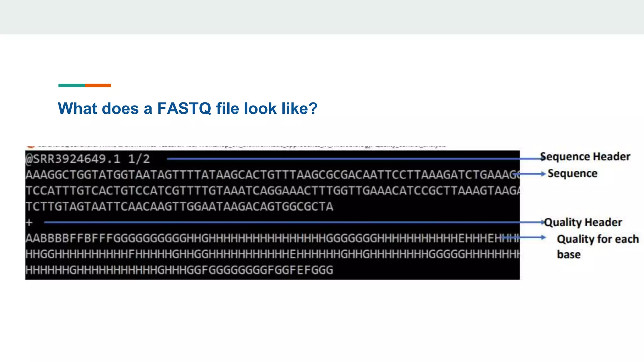 NGS File formats | PPTX