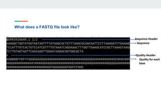 NGS File formats | PPTX