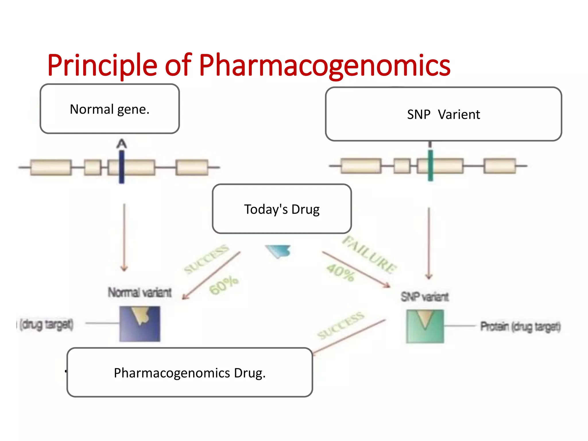 Pharmacogenomics | PDF
