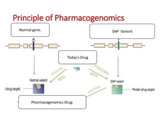 Pharmacogenomics | PDF