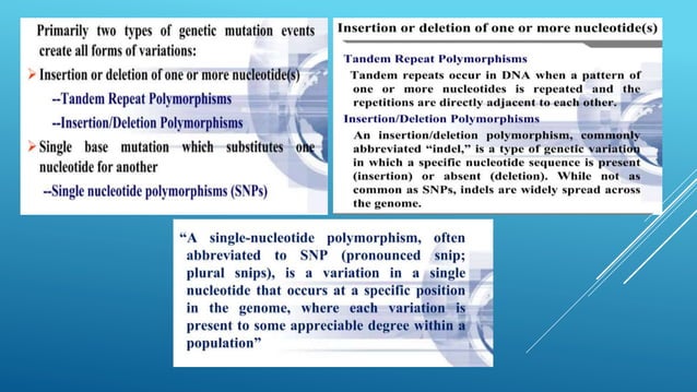Pharmacogenomics and the immune system.pptx