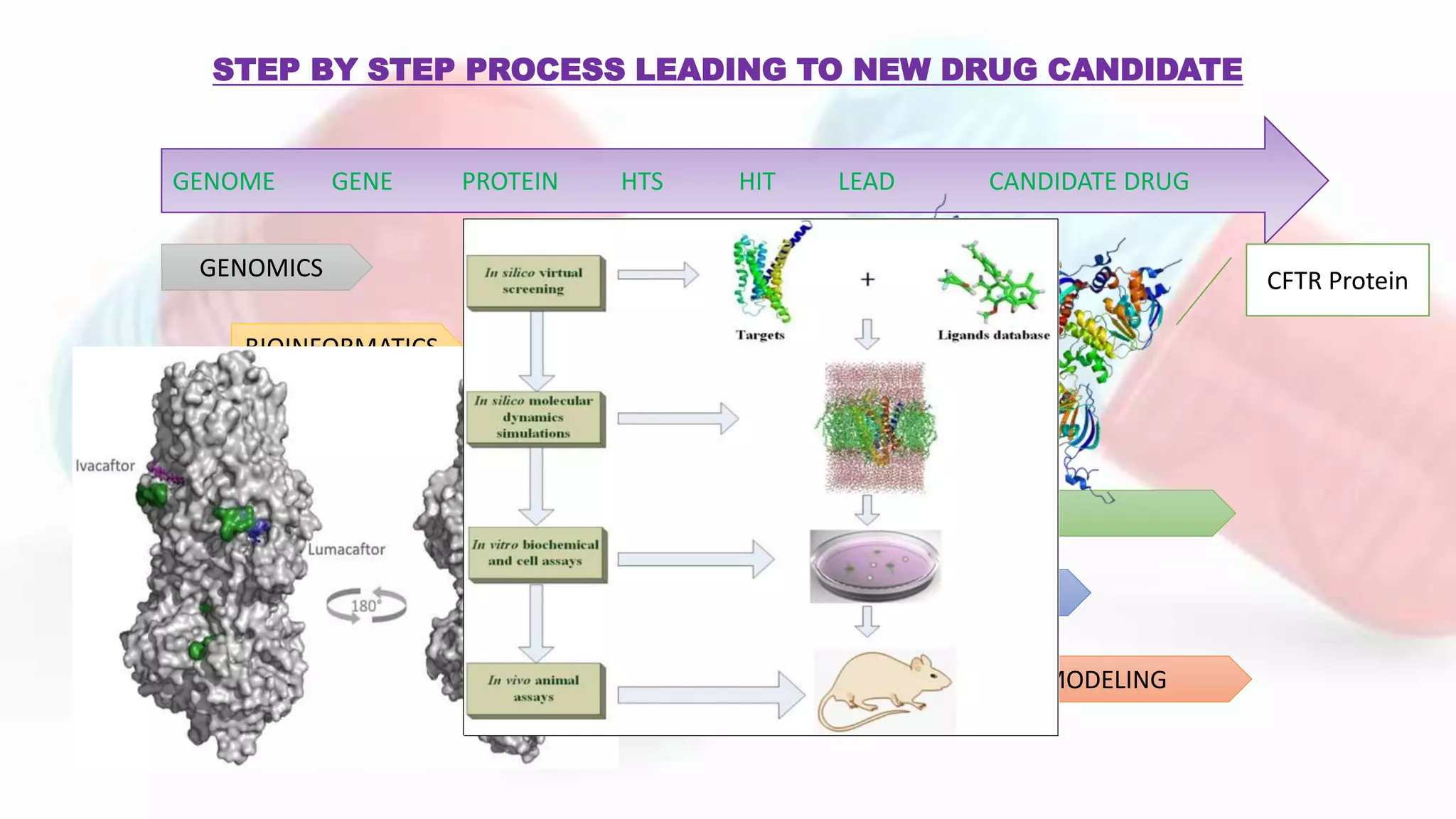 PHARMACOGENOMICS AS PERSONALIZED MEDICINE hira.pptx | Endocrine and ...