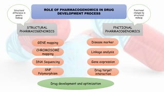 PHARMACOGENOMICS AS PERSONALIZED MEDICINE hira.pptx