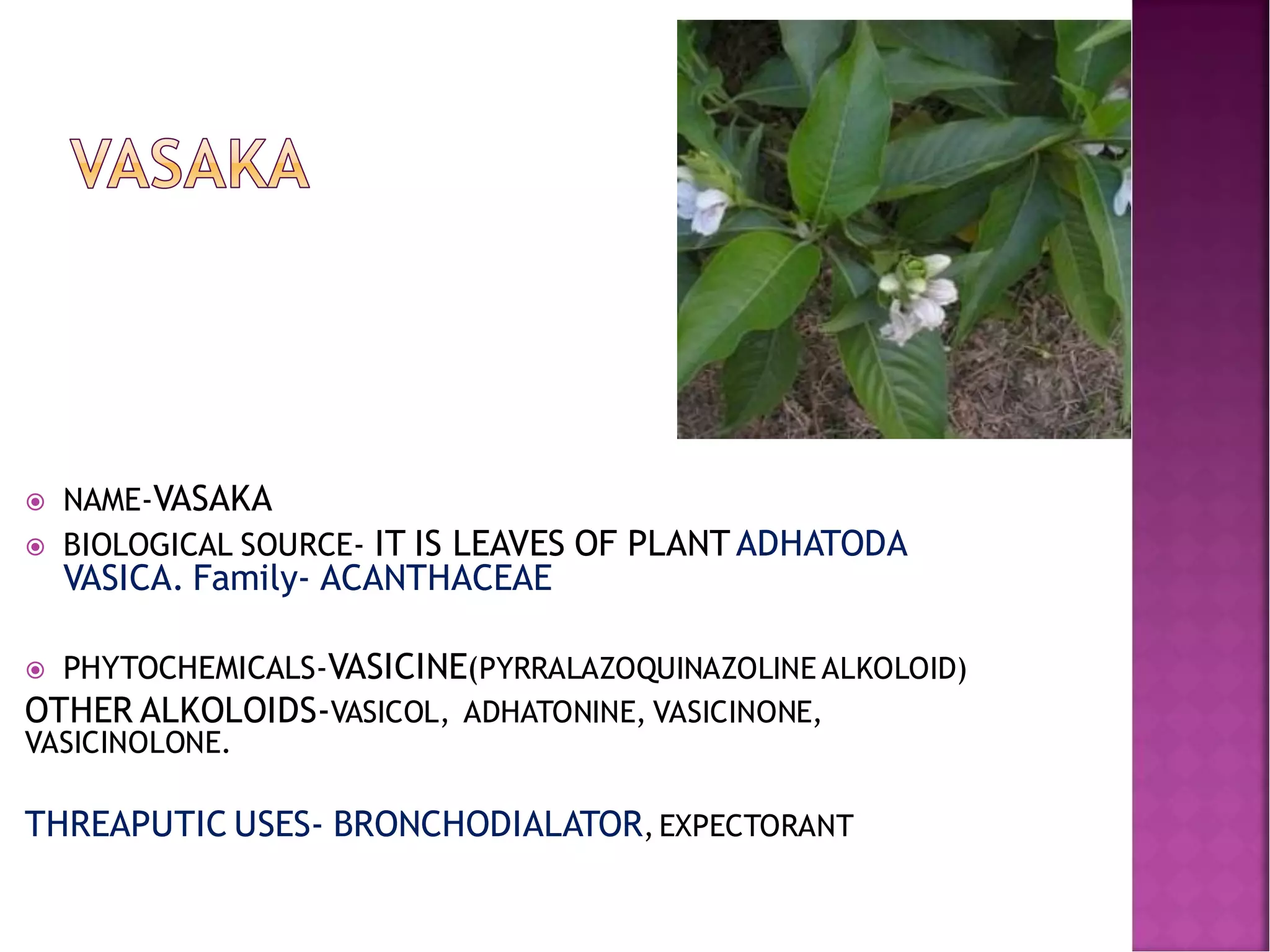 Pharmacognasy B pharm vaska | PDF