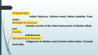 PHARMACOGNOSTICAL STUDY OF LOBELIA.pptx by pritypriya | PPTX