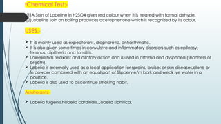 PHARMACOGNOSTICAL STUDY OF LOBELIA.pptx by pritypriya | PPTX