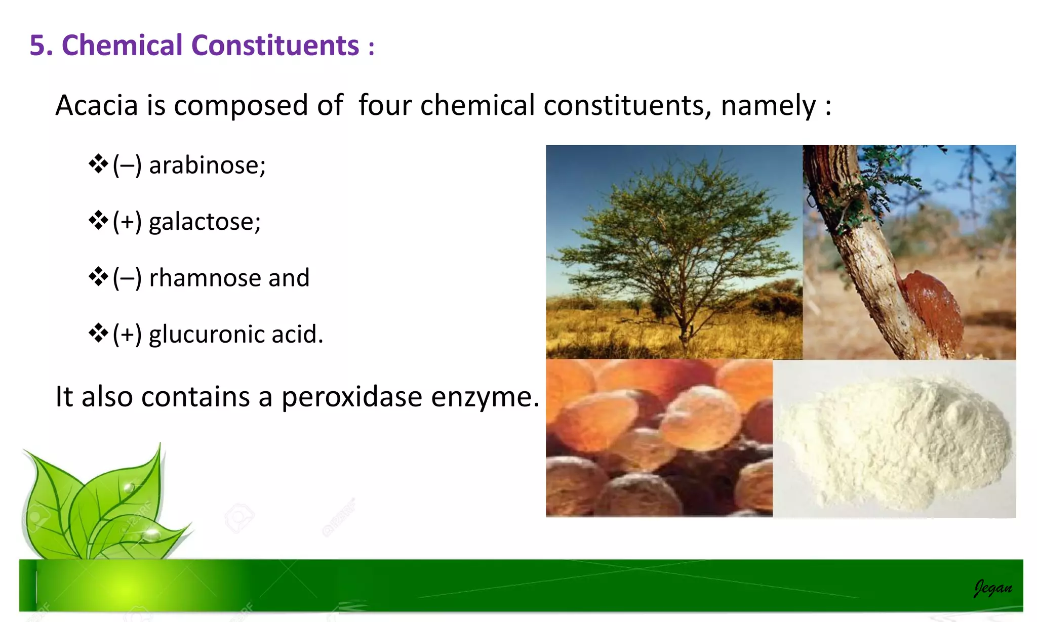 Pharmacognosy of carbohydrates containing drugs | PDF