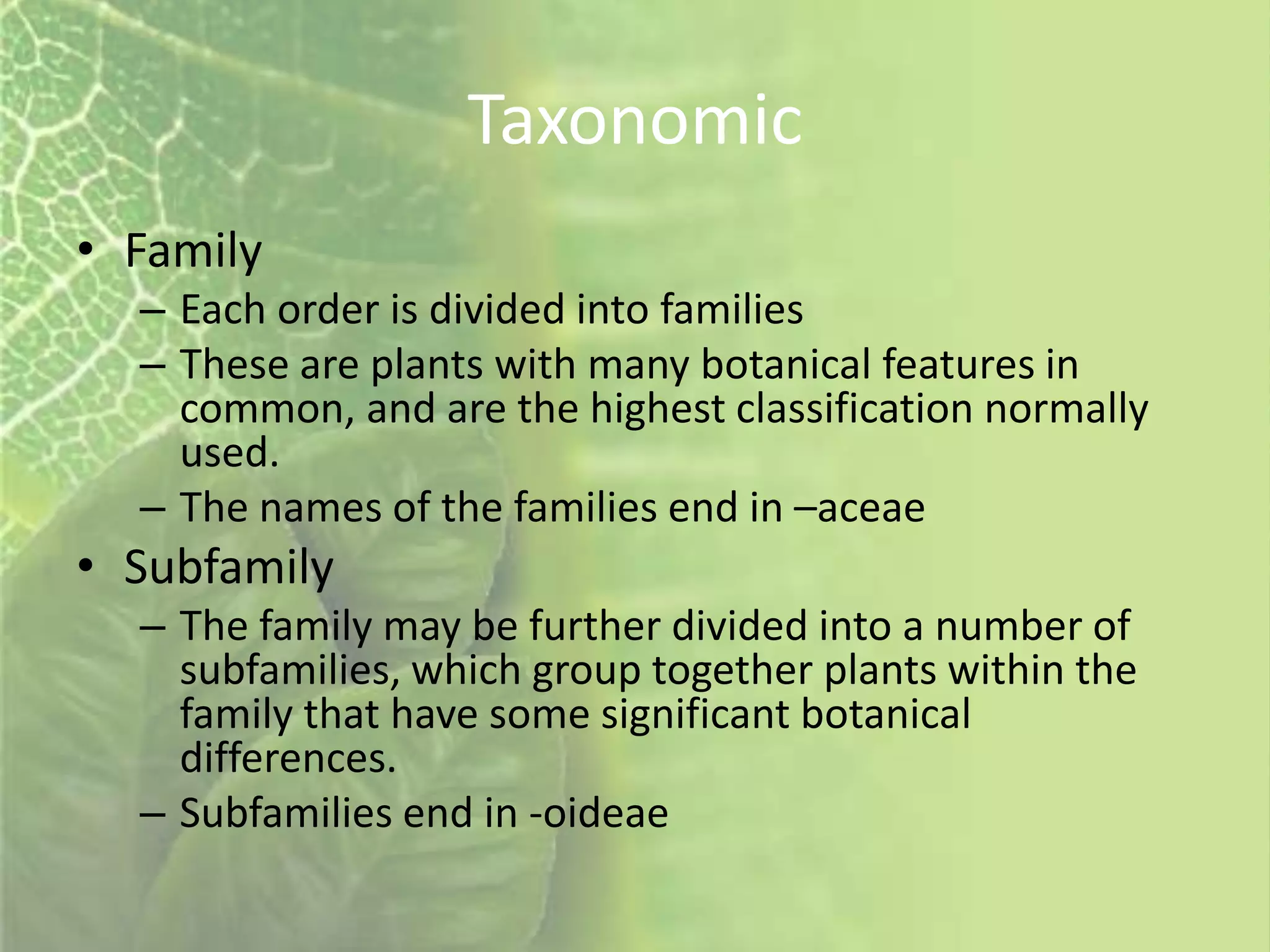 Pharmacognosy | PPTX