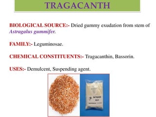 Pharmacognosy and Phytochemistry | PDF
