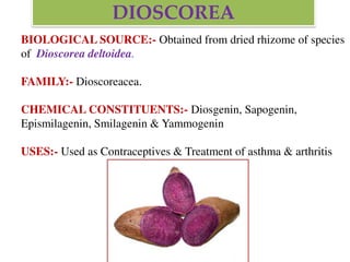 Pharmacognosy and Phytochemistry | PDF
