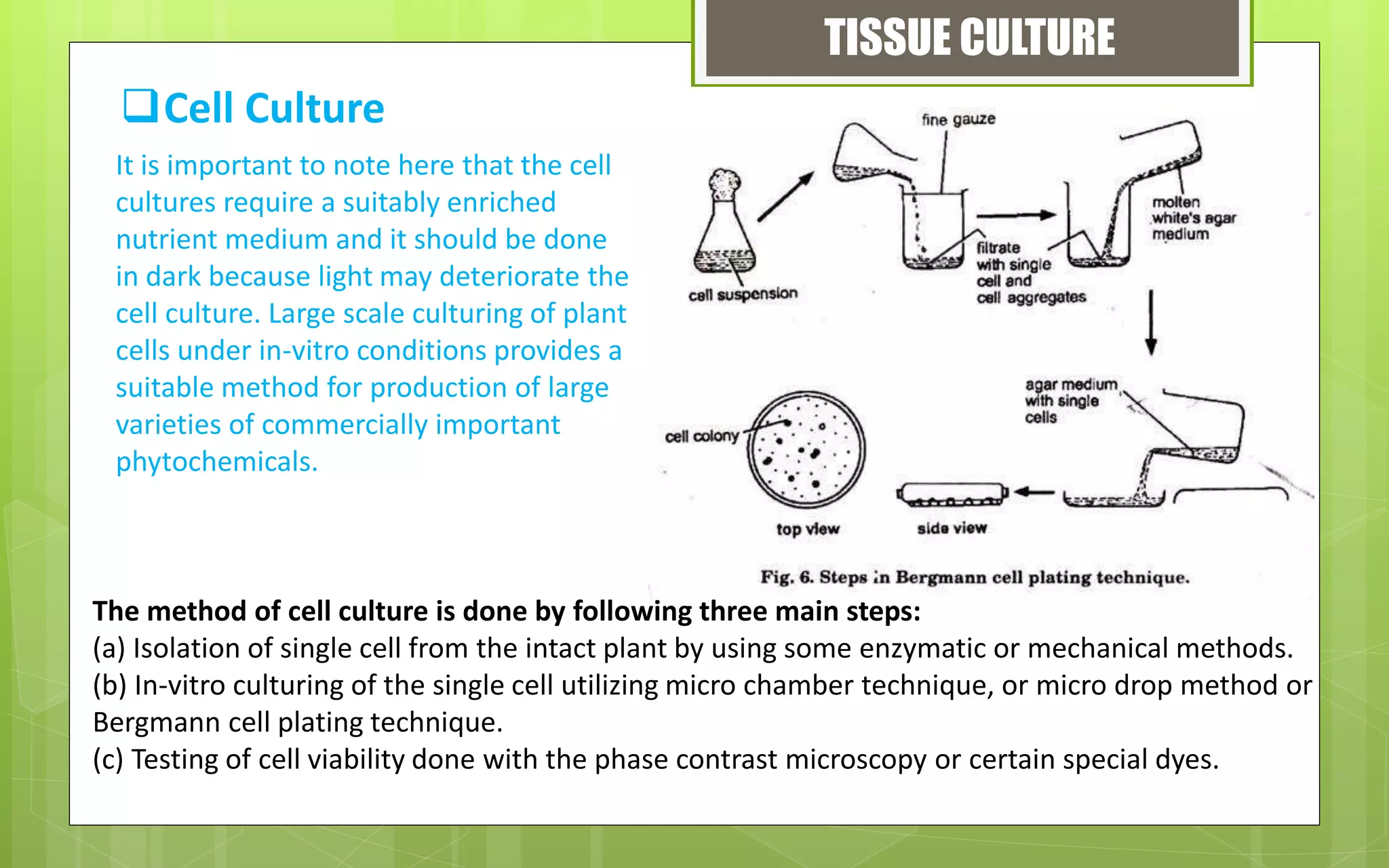 Plant Tissue Culture Complete Presentation | PPTX