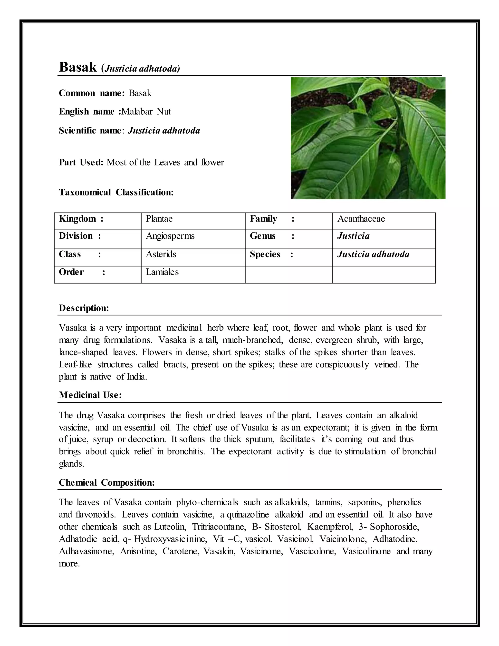 Useful Plant | DOCX