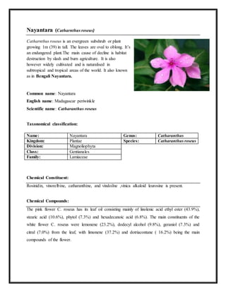 Useful Plant | PDF