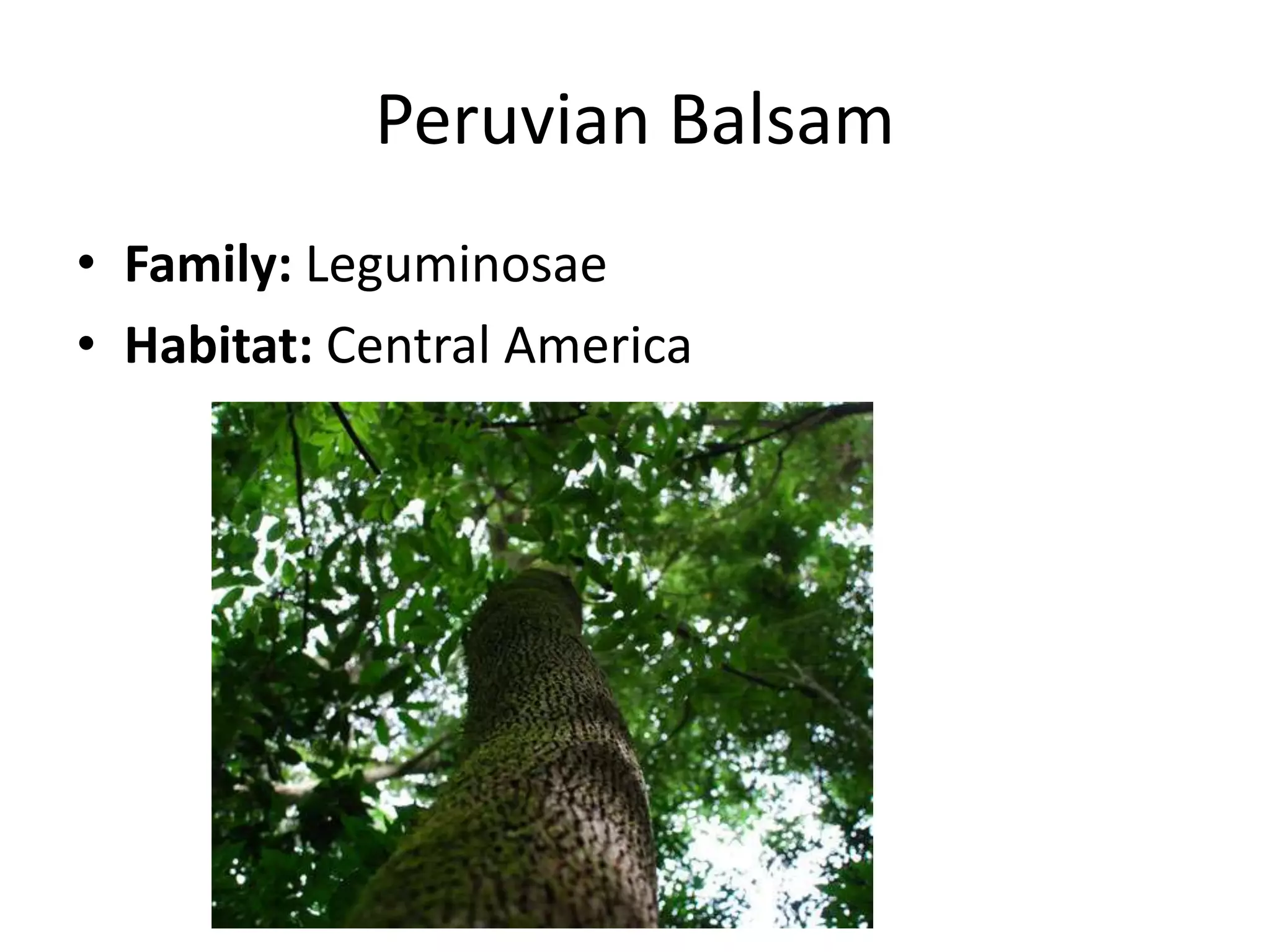 PHARMACOGNOSY - BALSAMS | PPTX