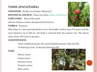 Pharmacognosy chapter plants Anti cancer plants.pdf