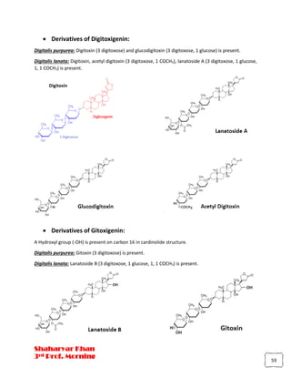 Pharmacognosy II notes | PDF