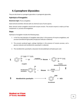 Pharmacognosy II notes | PDF