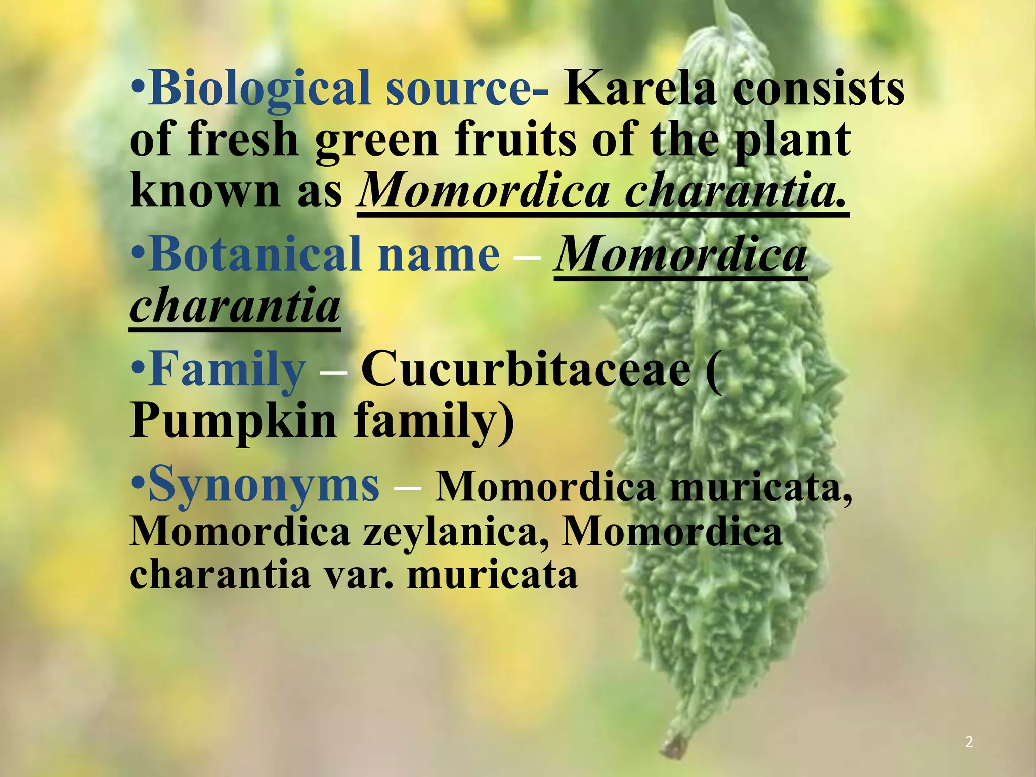 Pharmacognosy: Karela ( Bittergourd ) | PPTX