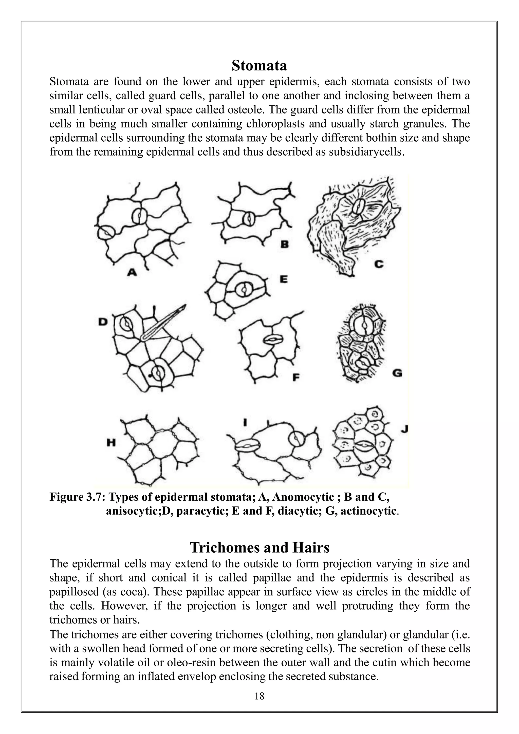 Pharmacognosy-lab-manual.pptx