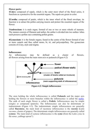 Pharmacognosy-lab-manual.pptx