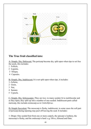 Pharmacognosy-lab-manual.pptx