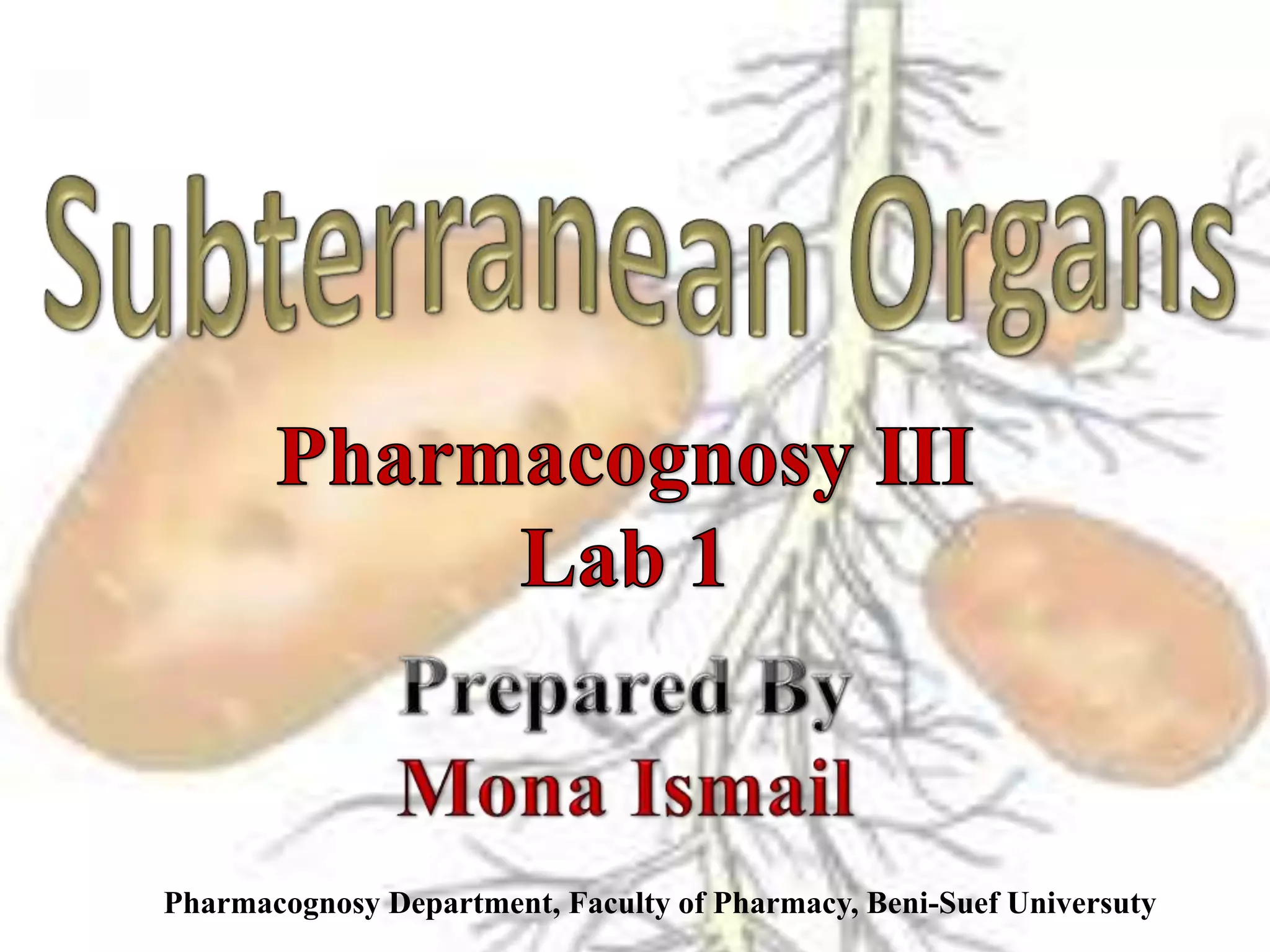 Subterranean Organs | PPTX