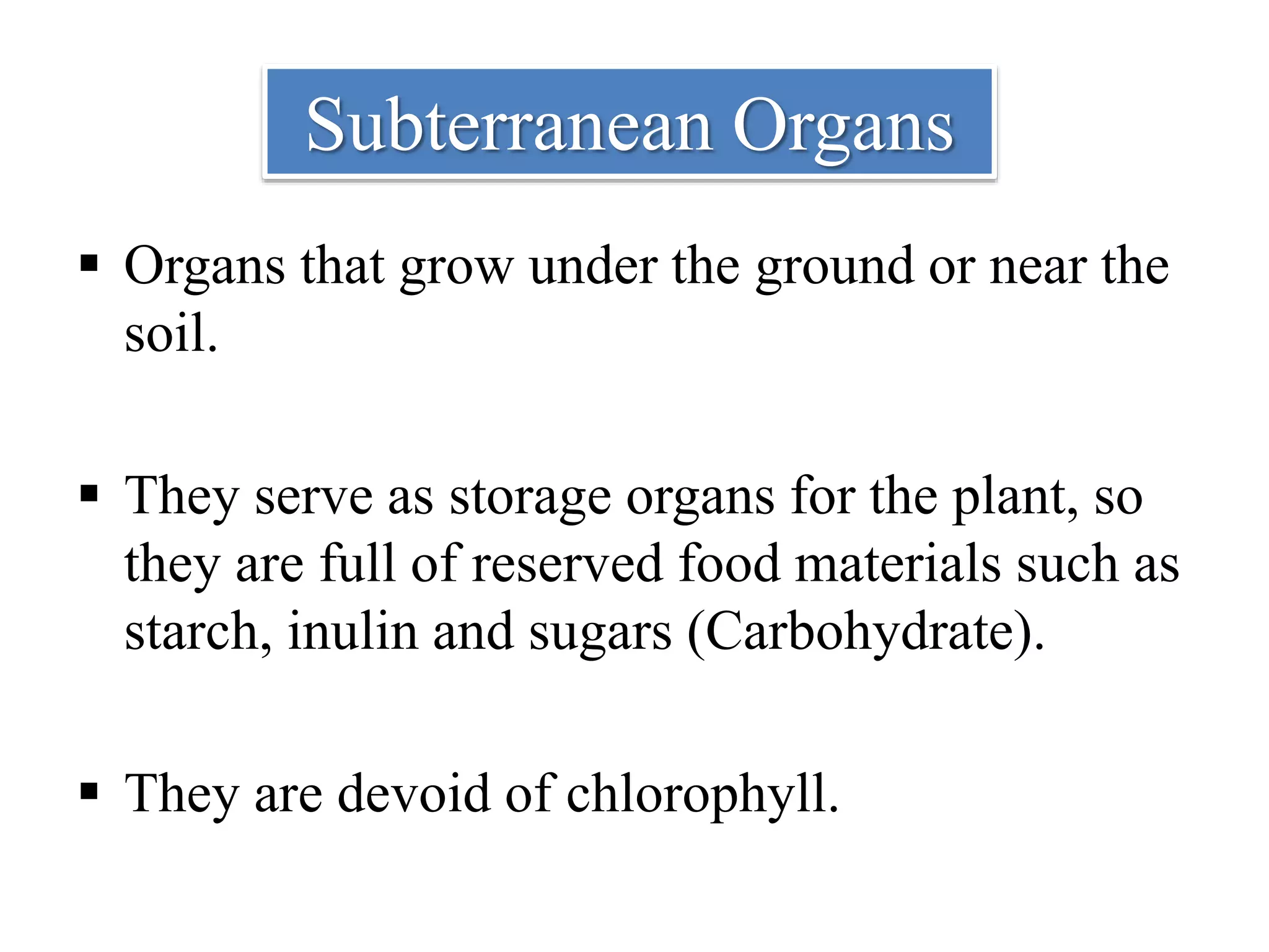Subterranean Organs | PPTX