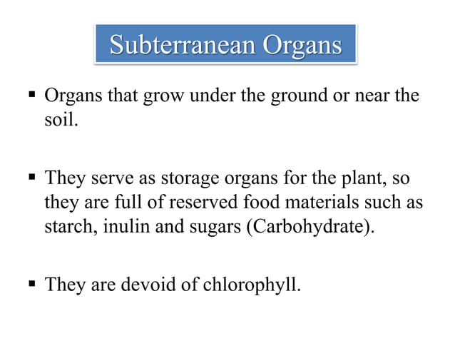 Subterranean Organs | PPTX | Gardening | Home & Garden