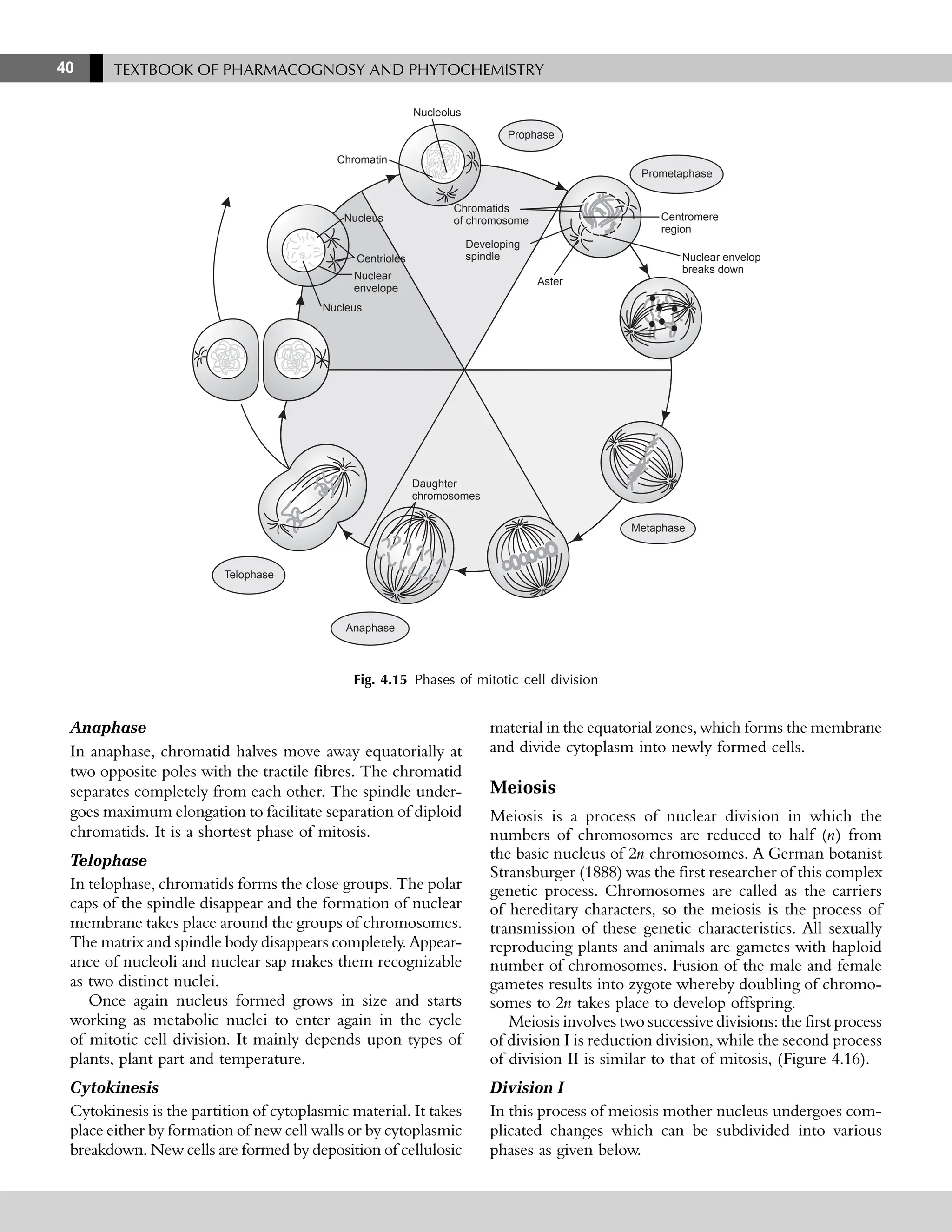 Pharmacognosy best one by Biren Shah.pdf