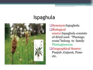 Pharmacognosy laxatives -aloes,rhubarb ,castor oil ispaghula senna | PPTX