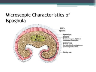 Pharmacognosy laxatives -aloes,rhubarb ,castor oil ispaghula senna | PPTX