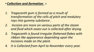 pharmacognosy I.pptx. synonyms, biological sources. | PPT